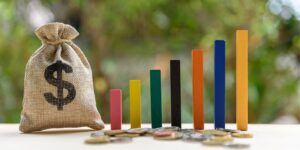 Participatory Budgeting: Meaning, Benefits & A Step-by-Step Guide - Delib